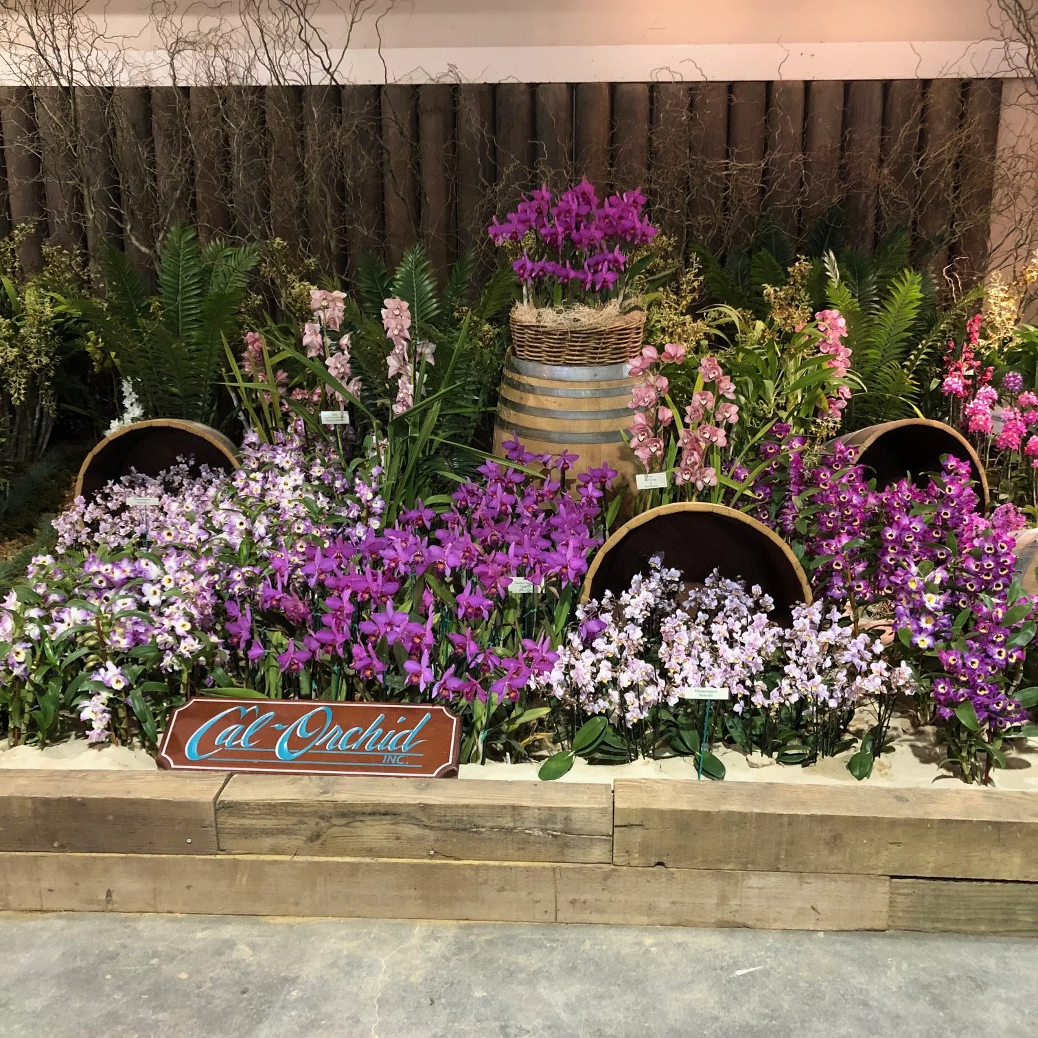 Cal-Orchid Inc.