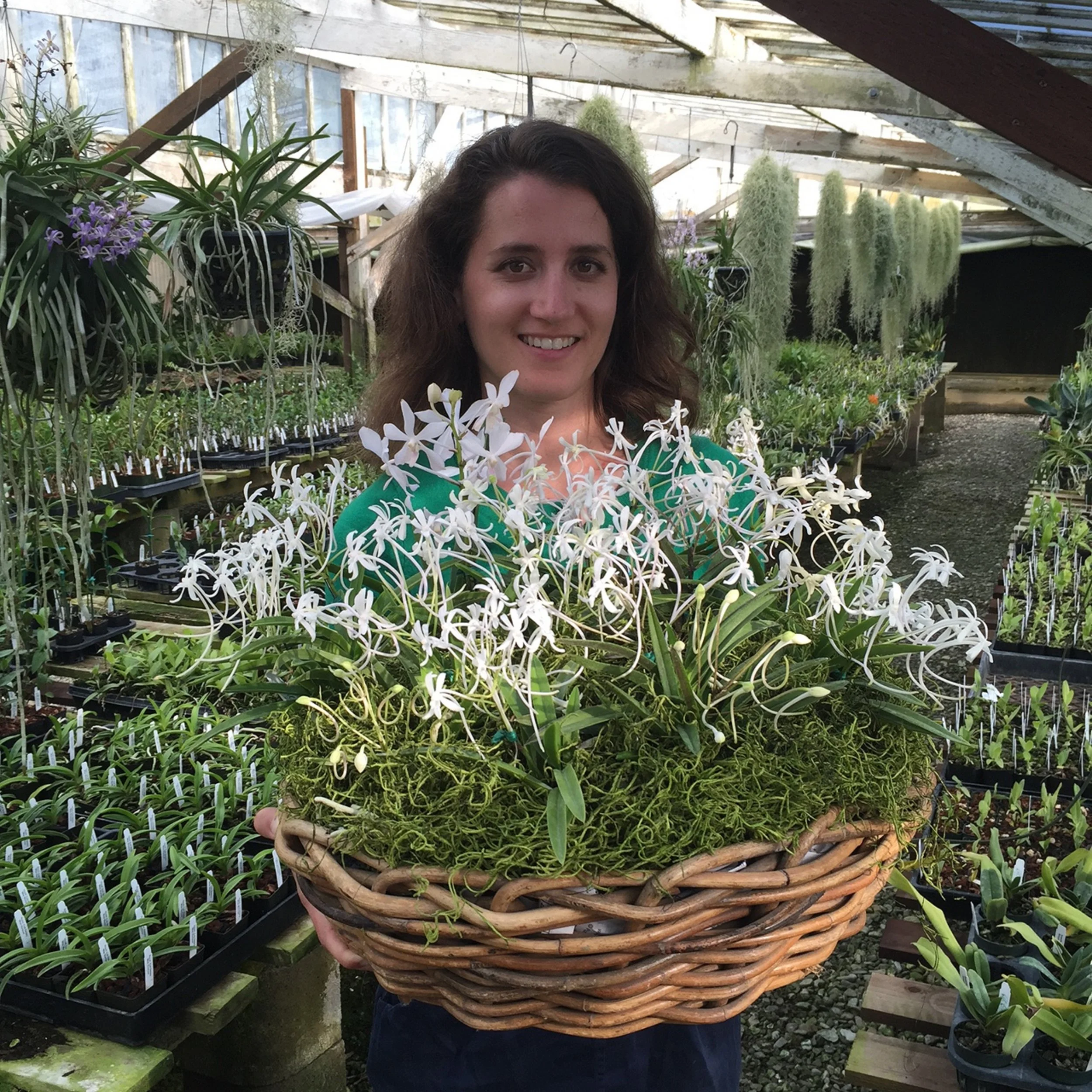 Cal-Orchid Inc.