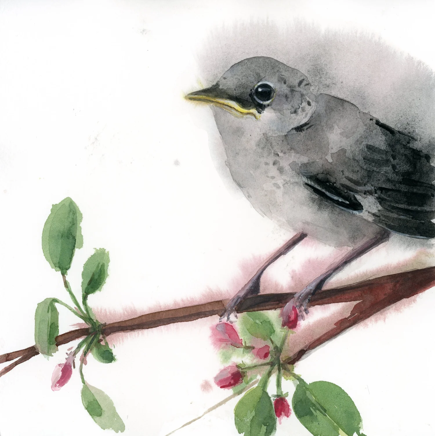 Mockingbird Painting