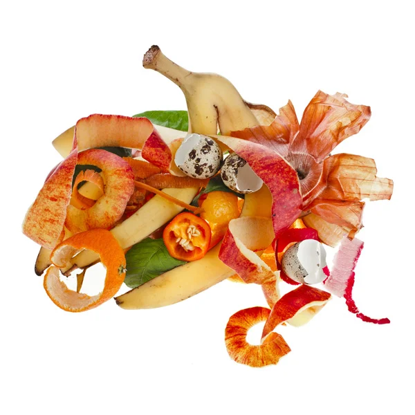 Scraps Of Food