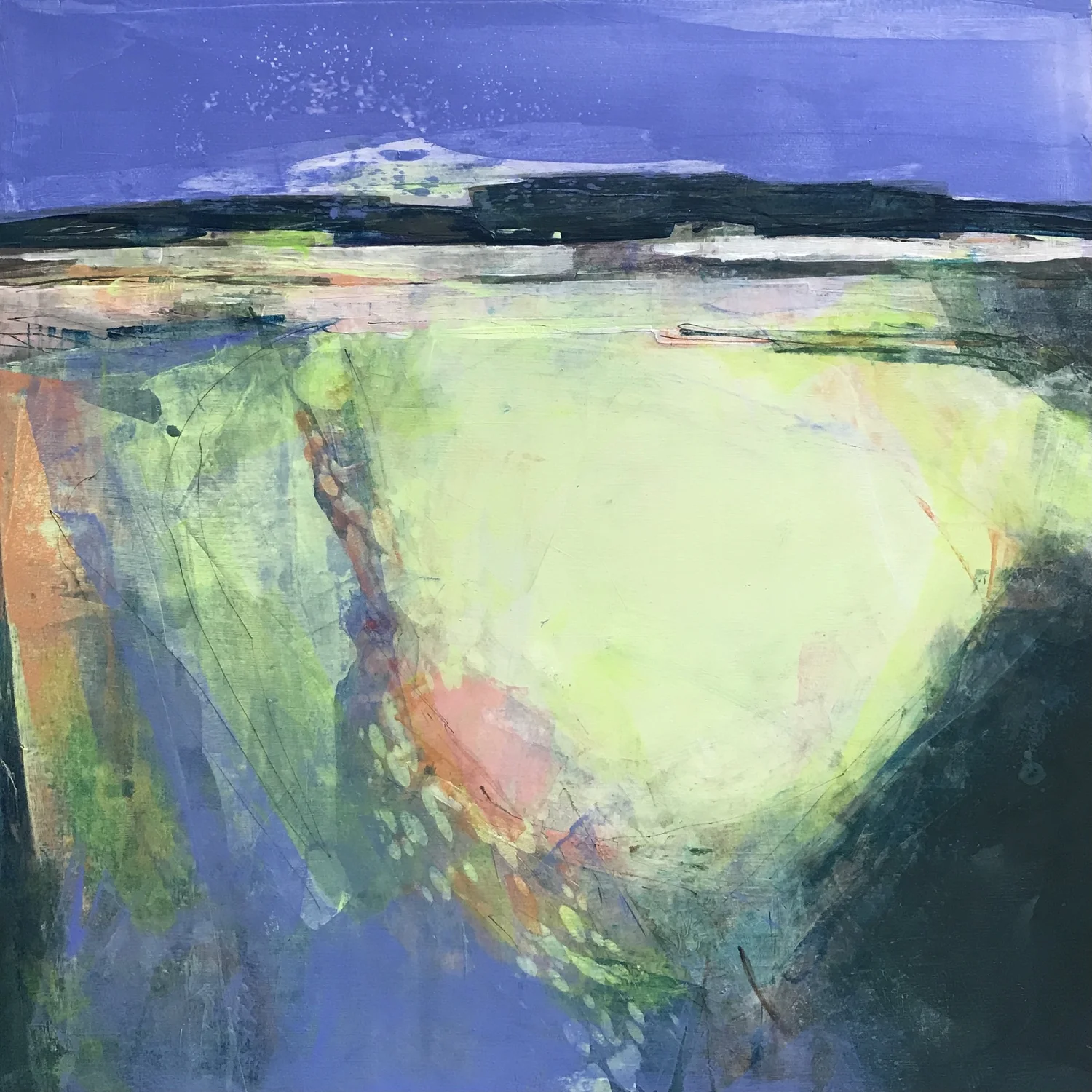 OASF-Salem Public Library — Nancy Eng