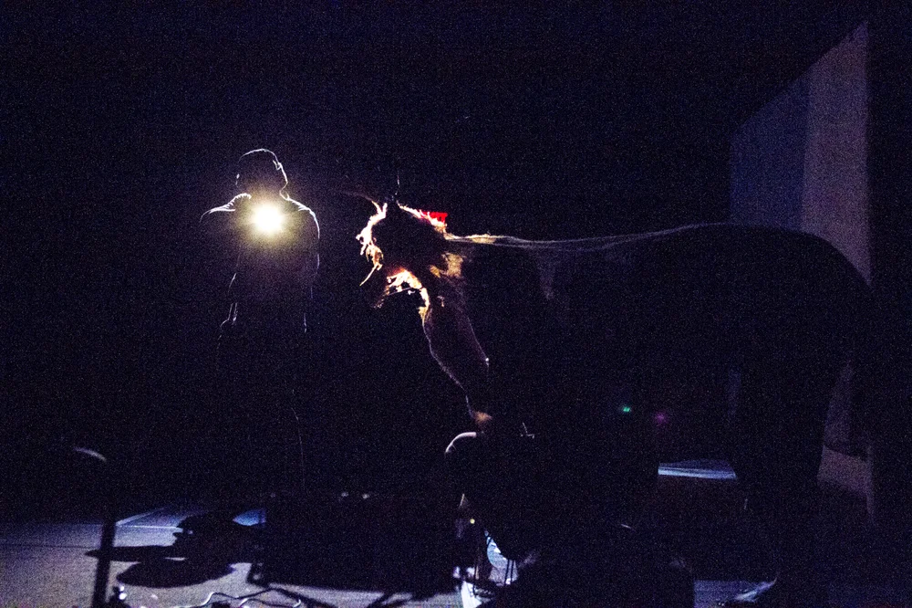 The Nightmare Story — PigPen Theatre Co.