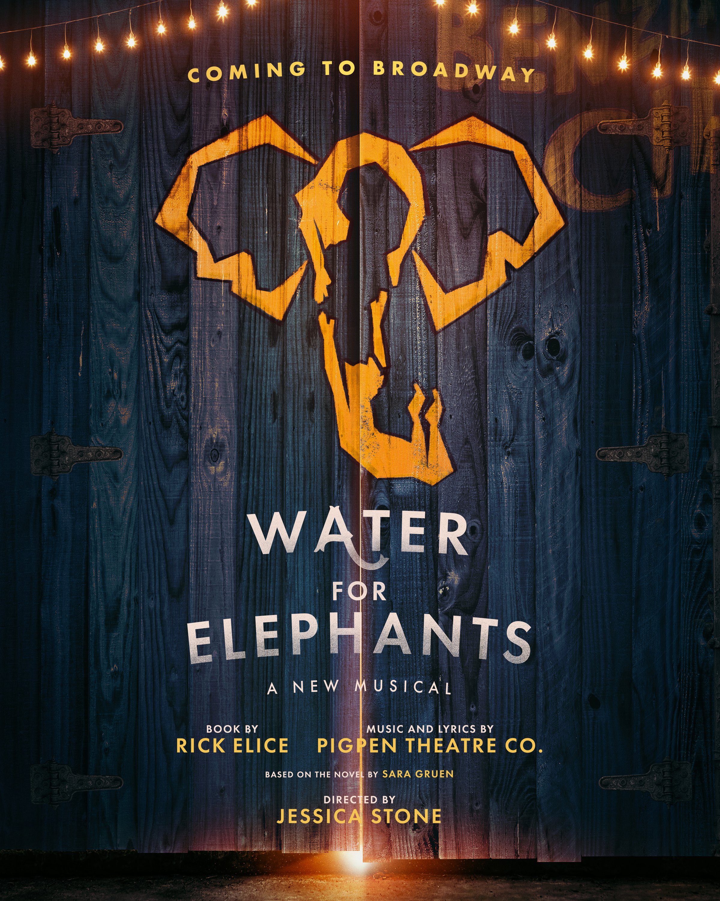 Water For Elephants Book