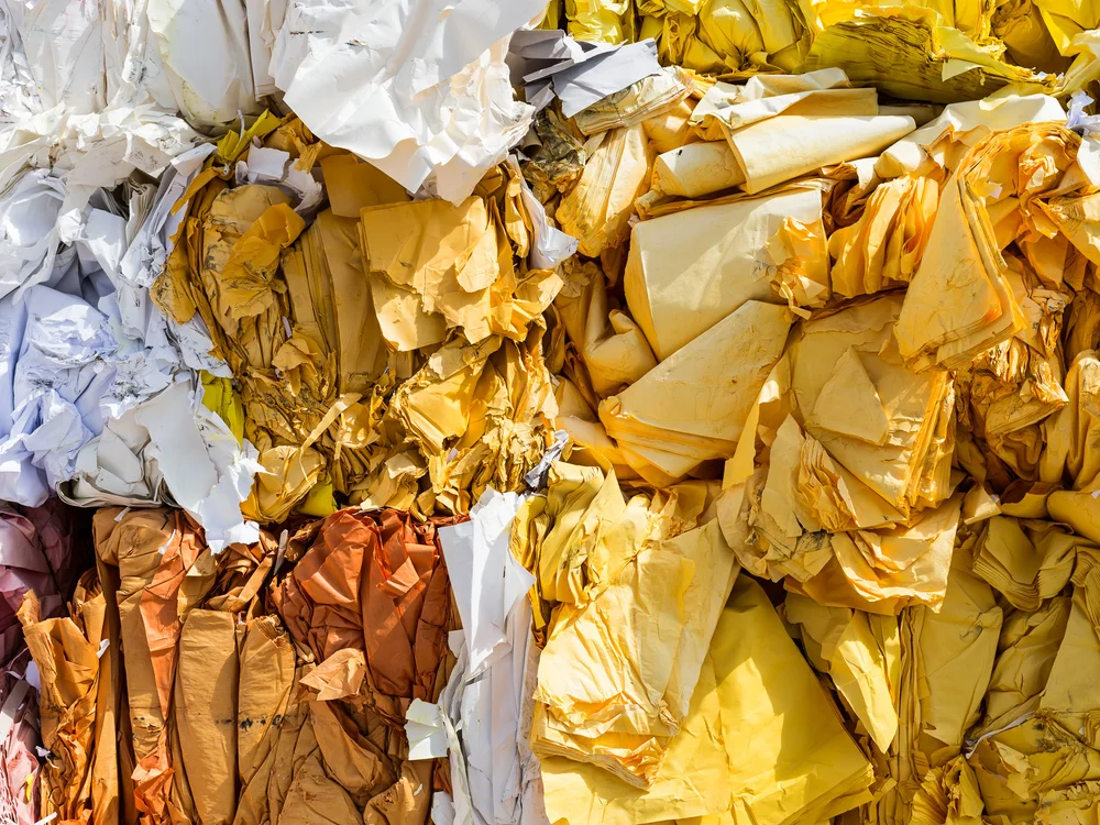 G . F Smith - The Paper Mill — handover archive