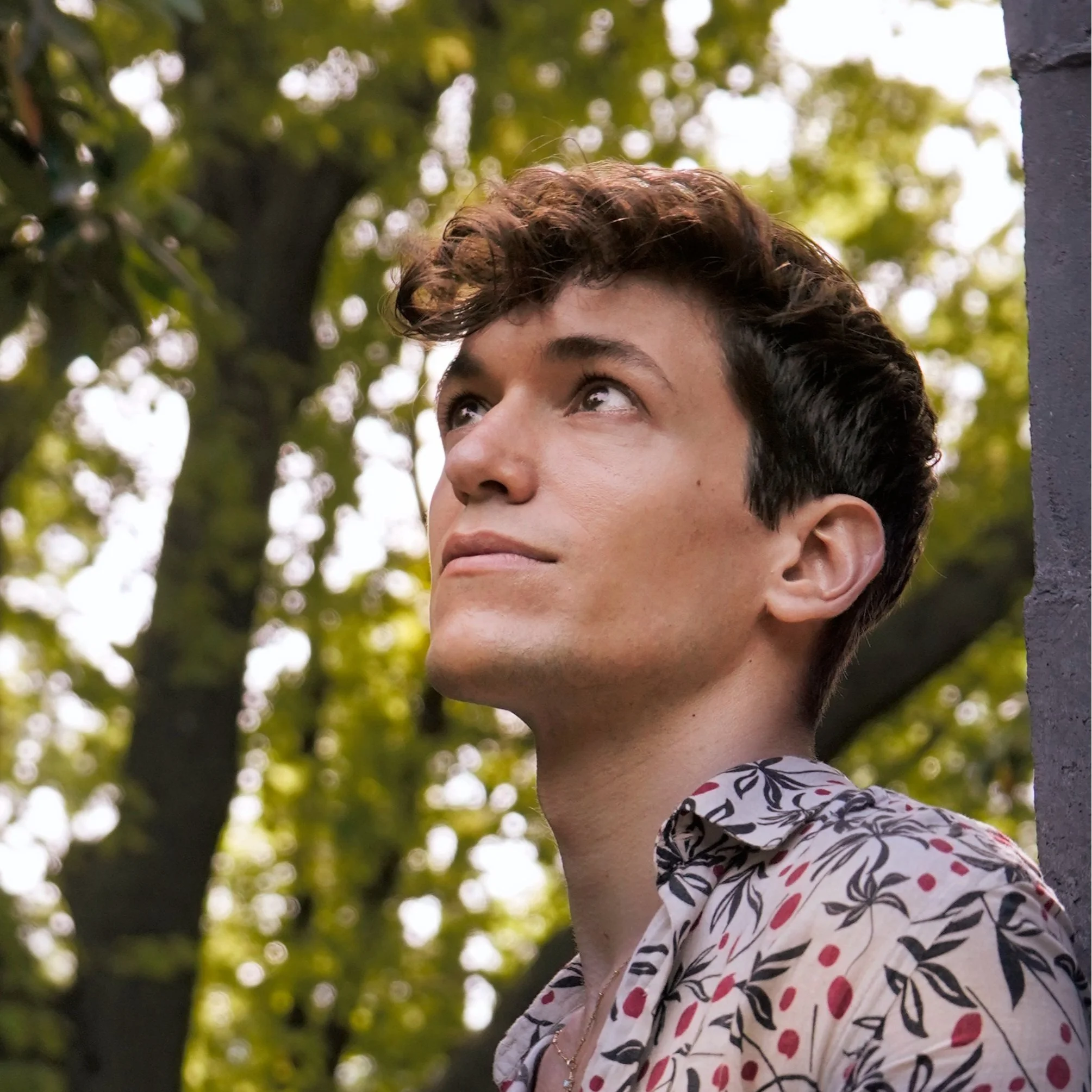 Revelatory adaptations of classic operas / radical rearrangements / ingenious design