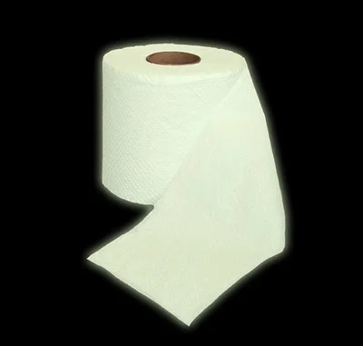 Creative and Awesome Toilet Paper Designs — Kevin Szabo Jr Plumbing ...