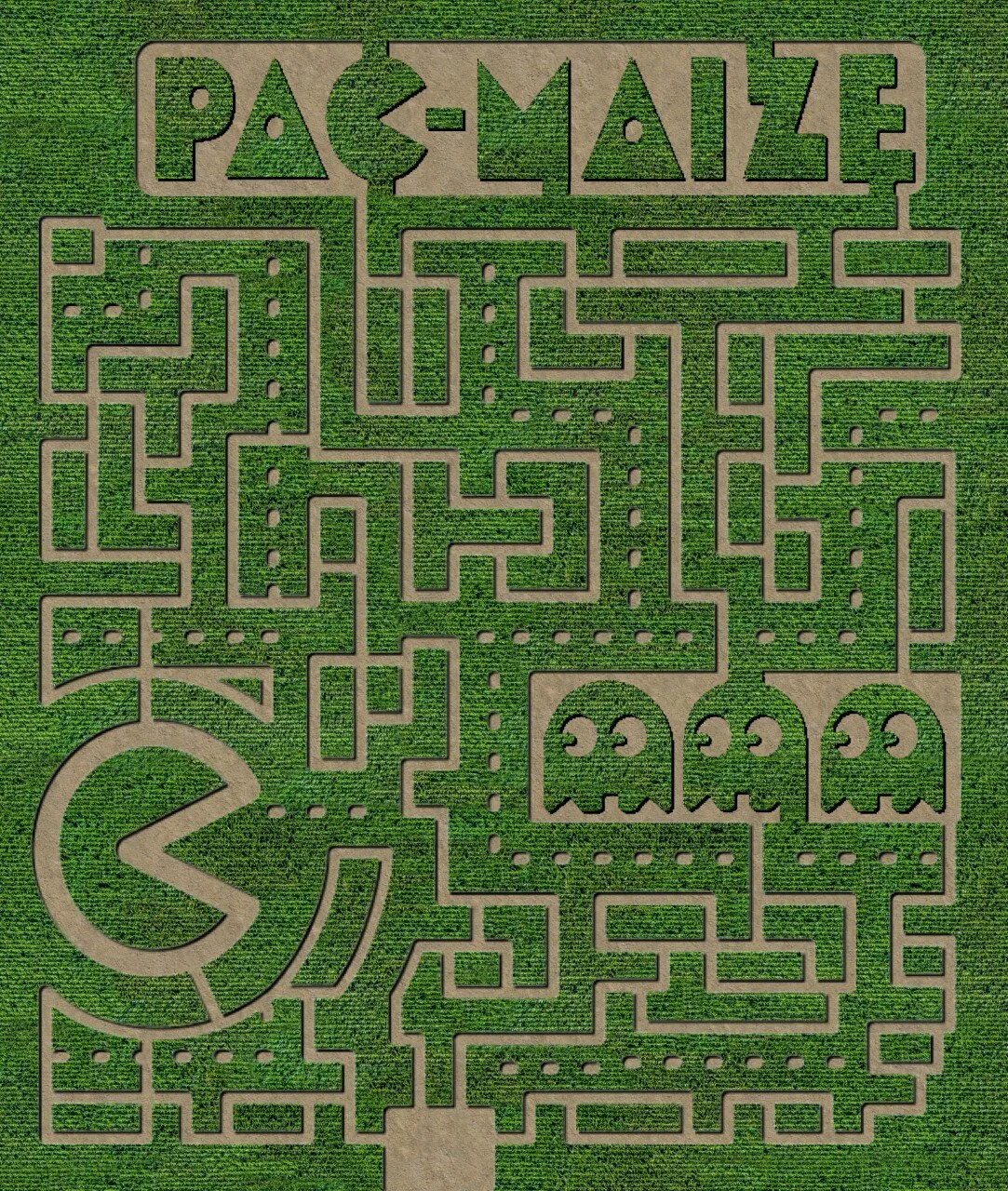Pumpkin Patches in the South Suburbs — Kevin Szabo Jr Plumbing ...
