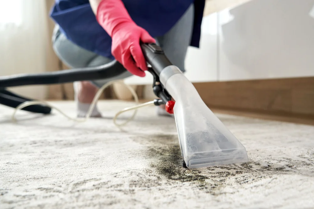 Convenience at Your Doorstep: Exploring Carpet Cleaning Solutions ...