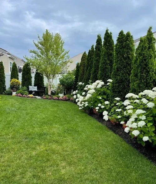 Transform Your Home with Beautiful Landscaping Using Plants and Flowers ...