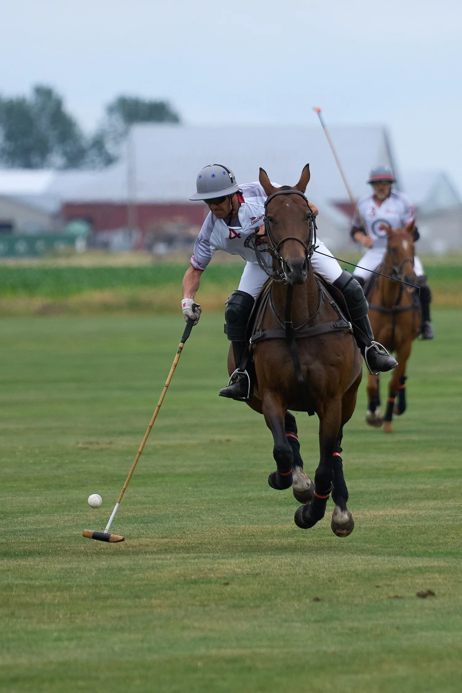 Polo Basics — VANCOUVER POLO CLUB