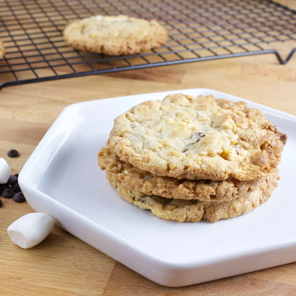 Cornflake Chocolate Chip Marshmallow Cookies — Land of Noms