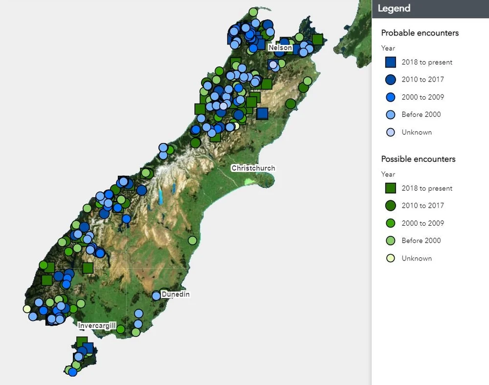 The Search — southislandkokako.org.nz