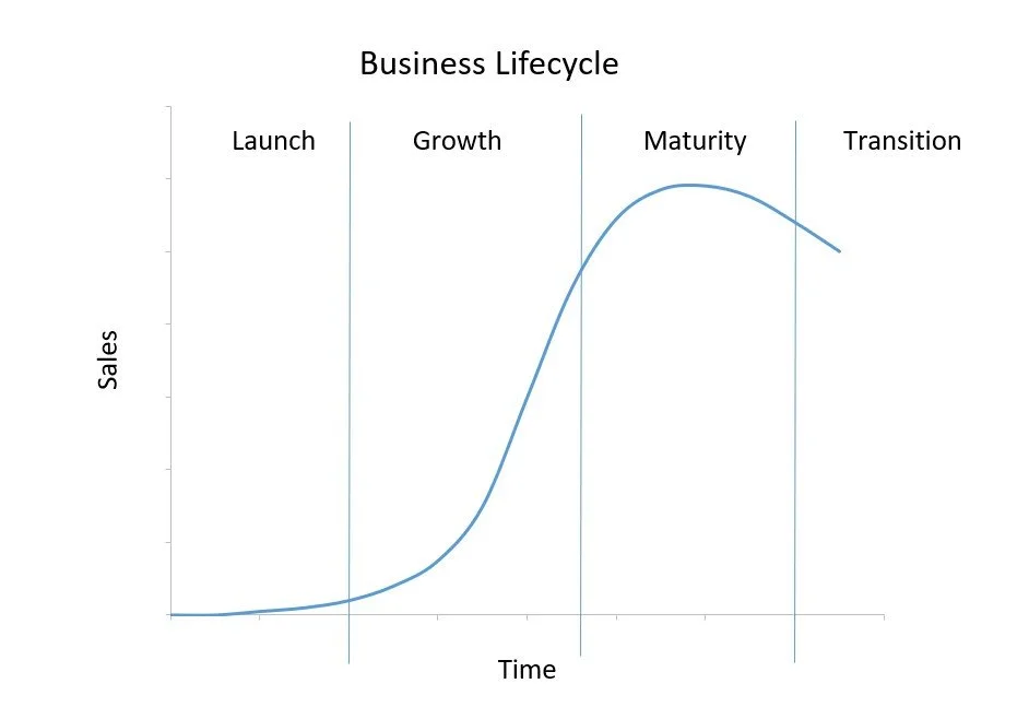 Business Lifecycle And The Role Of Information Technology | Jones IT