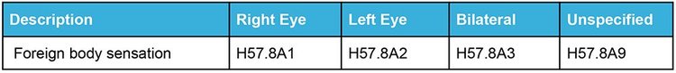 2024 ICD-10-CM Code Updates Guide for Eye Care | Fast Pay Health