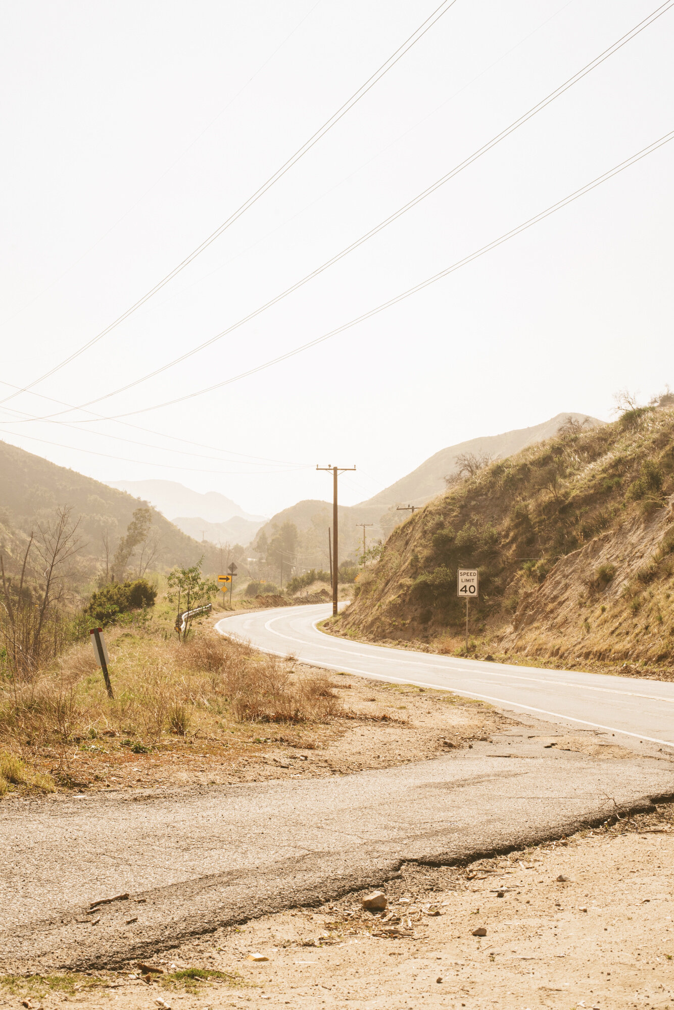 Foraging With Pascal Baudar — Los Angeles Food Photographer - Rebecca ...