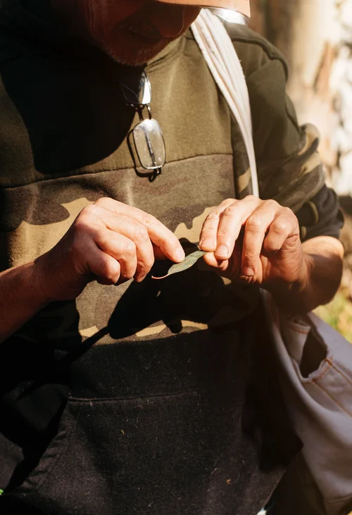 Foraging With Pascal Baudar — Los Angeles Food Photographer - Rebecca ...