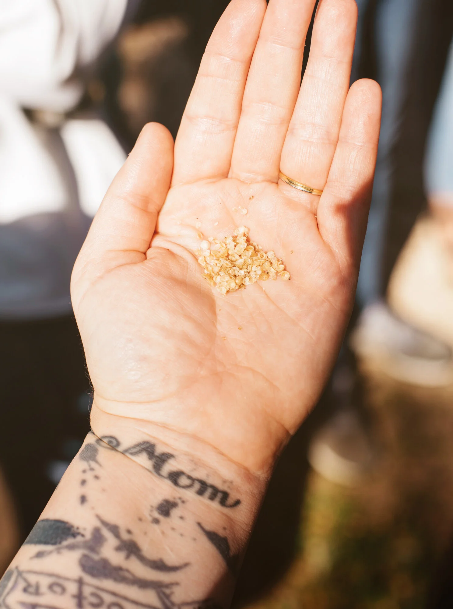 Foraging With Pascal Baudar — Los Angeles Food Photographer - Rebecca ...