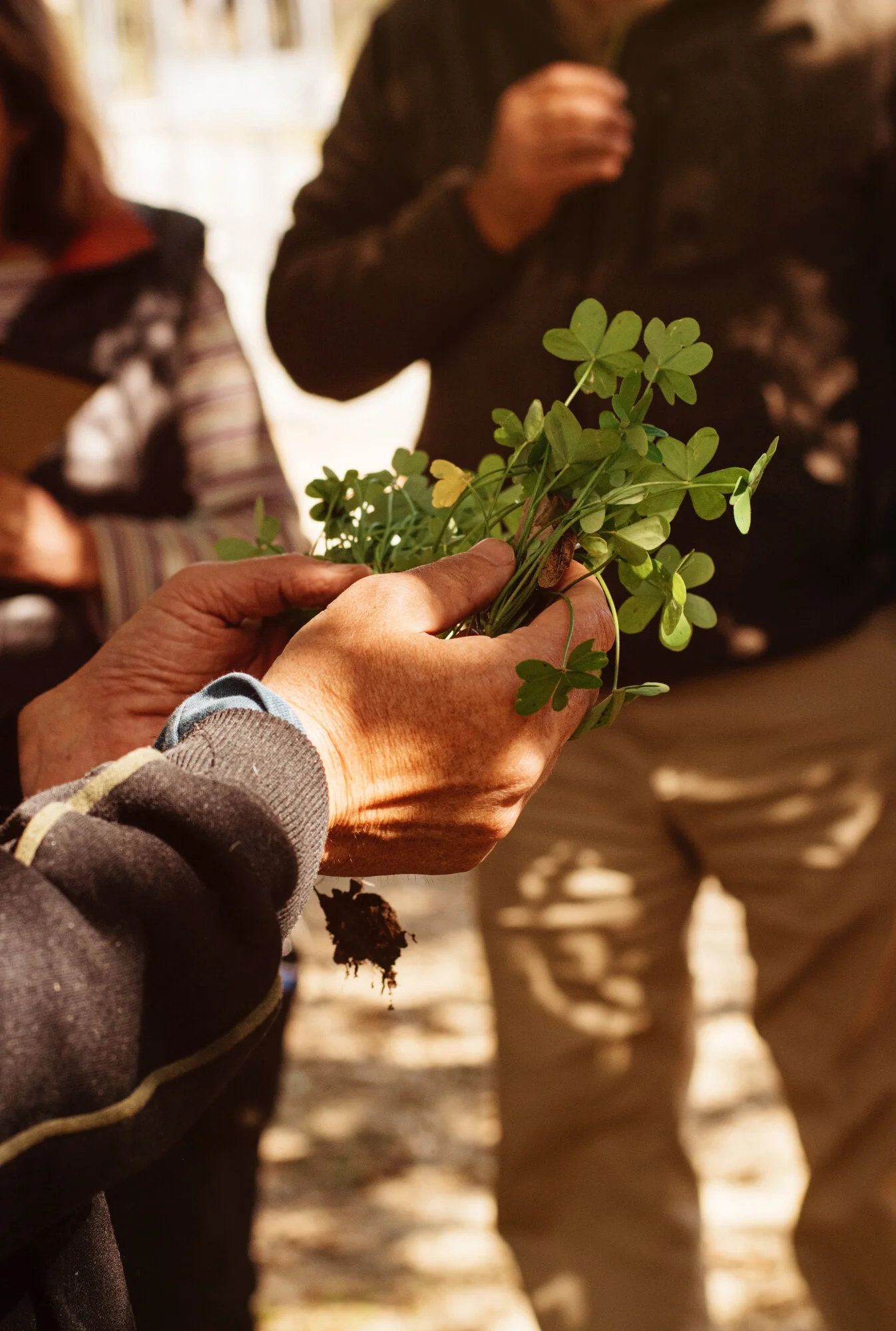 Foraging With Pascal Baudar — Los Angeles Food Photographer - Rebecca ...