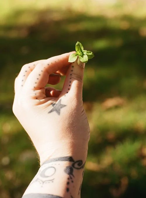 Foraging With Pascal Baudar — Los Angeles Food Photographer - Rebecca ...