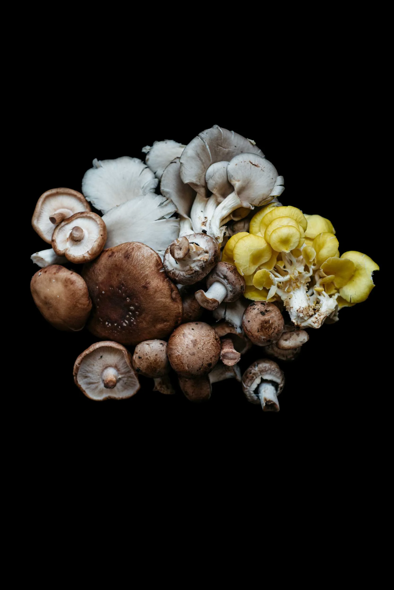 Dramatic Food Photography