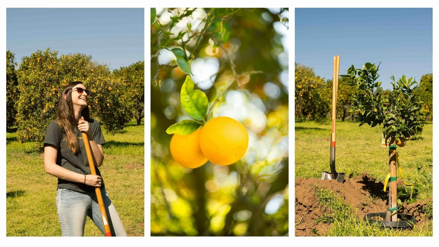 April 2022 — Los Angeles Food Photographer - Rebecca Peloquin