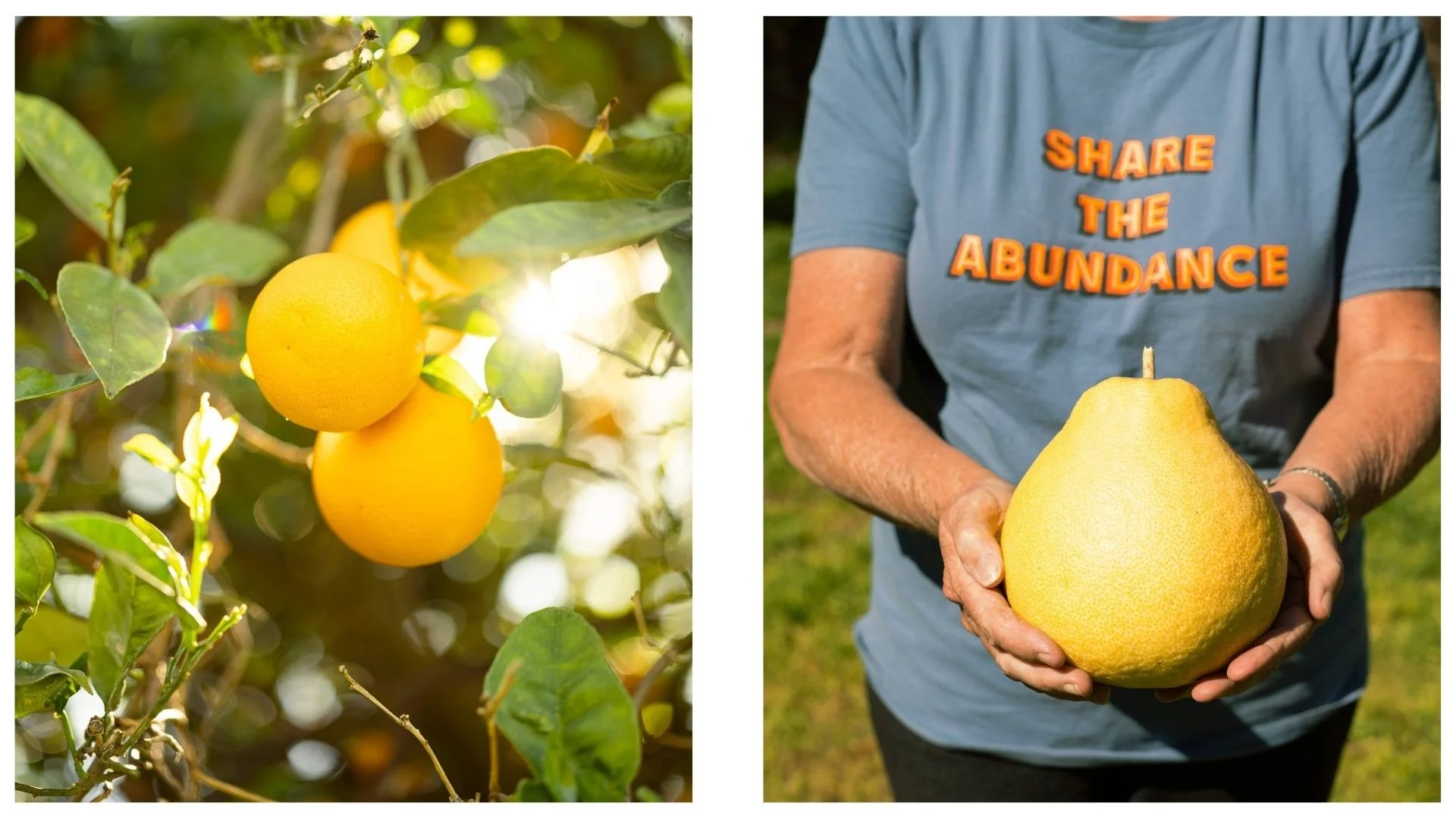 April 2022 — Los Angeles Food Photographer - Rebecca Peloquin