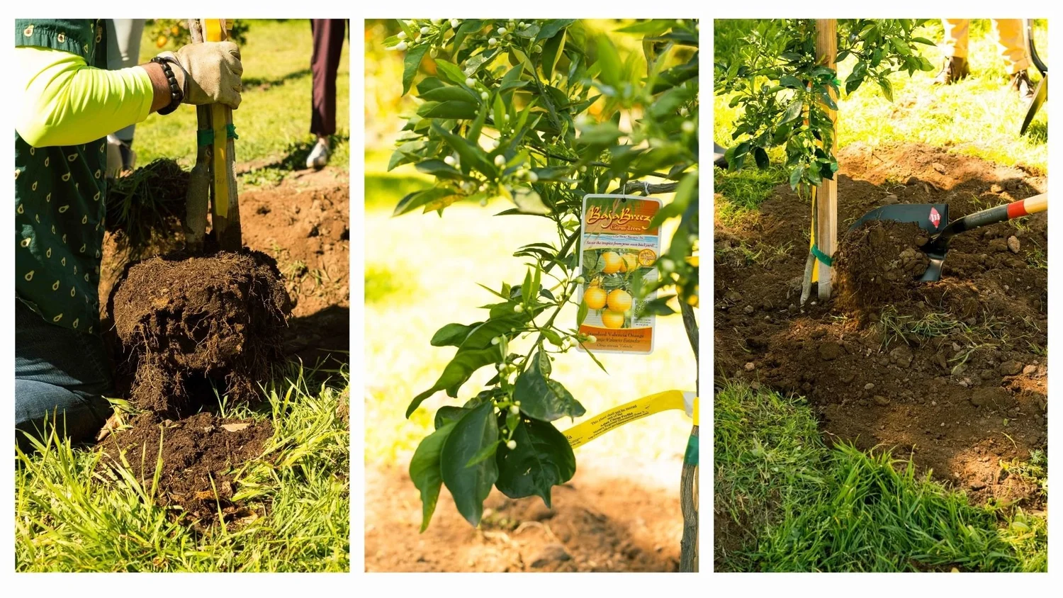 April 2022 — Los Angeles Food Photographer - Rebecca Peloquin