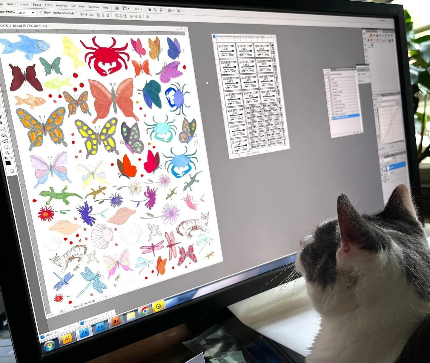 Ceramic Decals | Glass Fusing Decals | Ceramic Overglaze Transfers