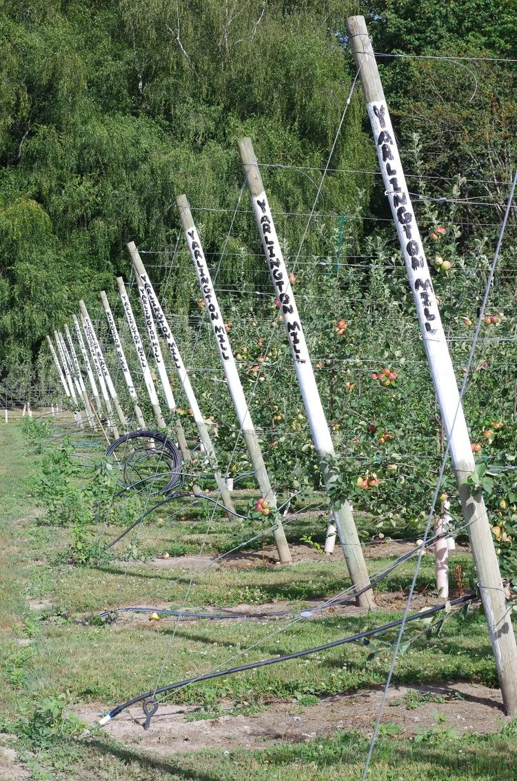 Gallery — Cockrell Cider Farm