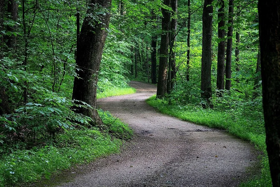 LIVING WATERS CHURCH