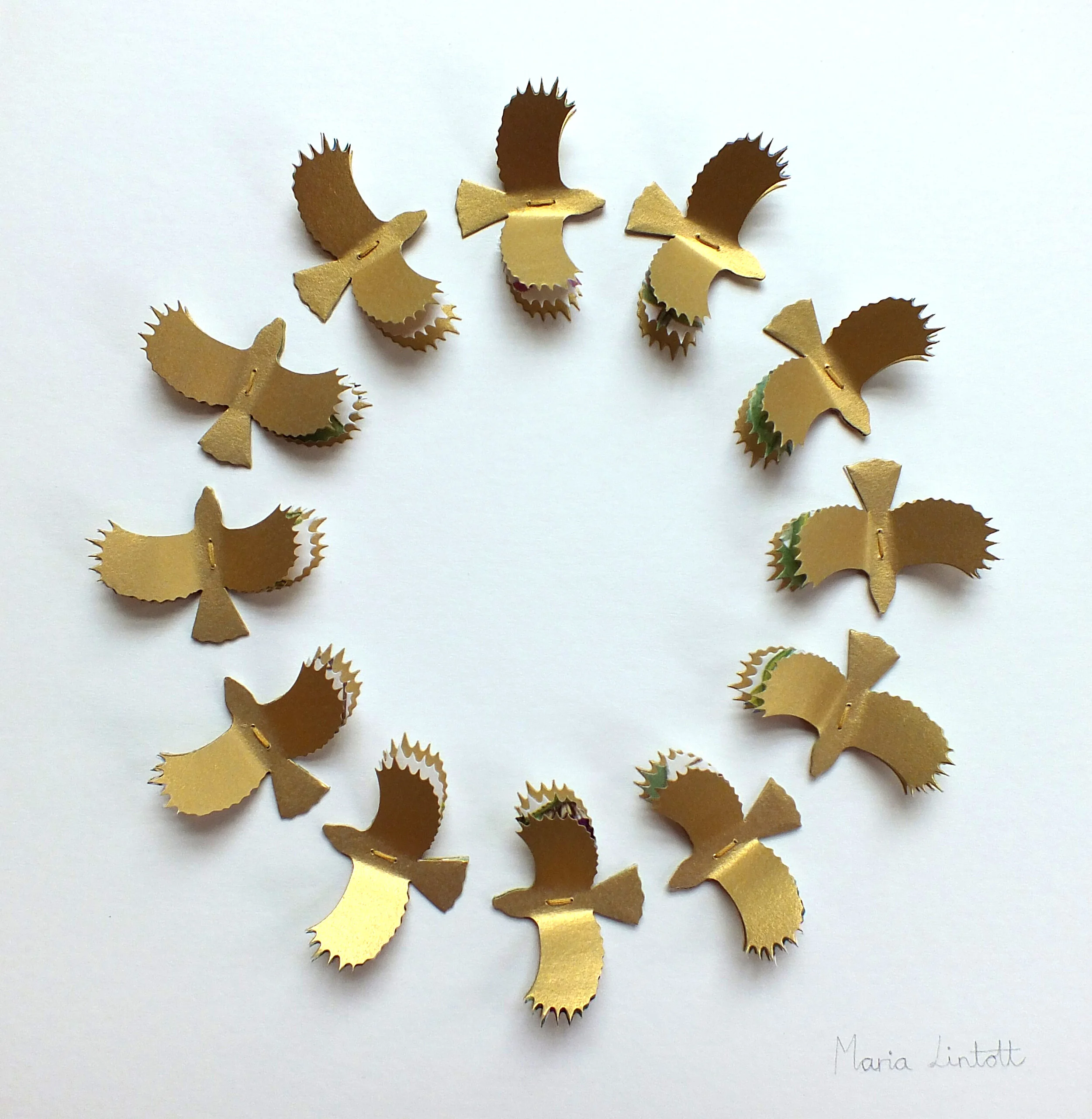 Maria Lintott Art — Rufus Country