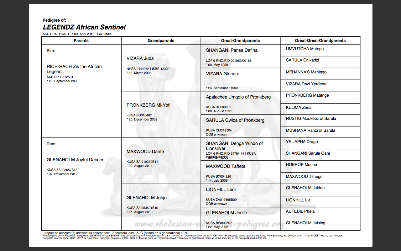 Legendz African Sentinel — African Legends Rhodesian Ridgebacks