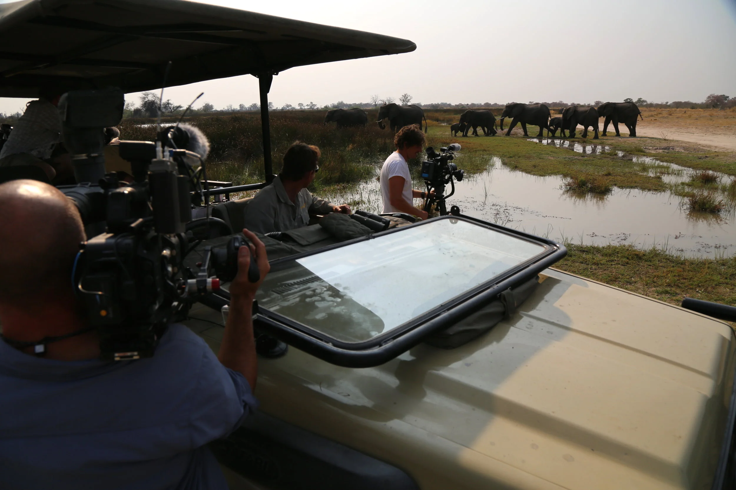 Safari Brothers — Symbio Studios