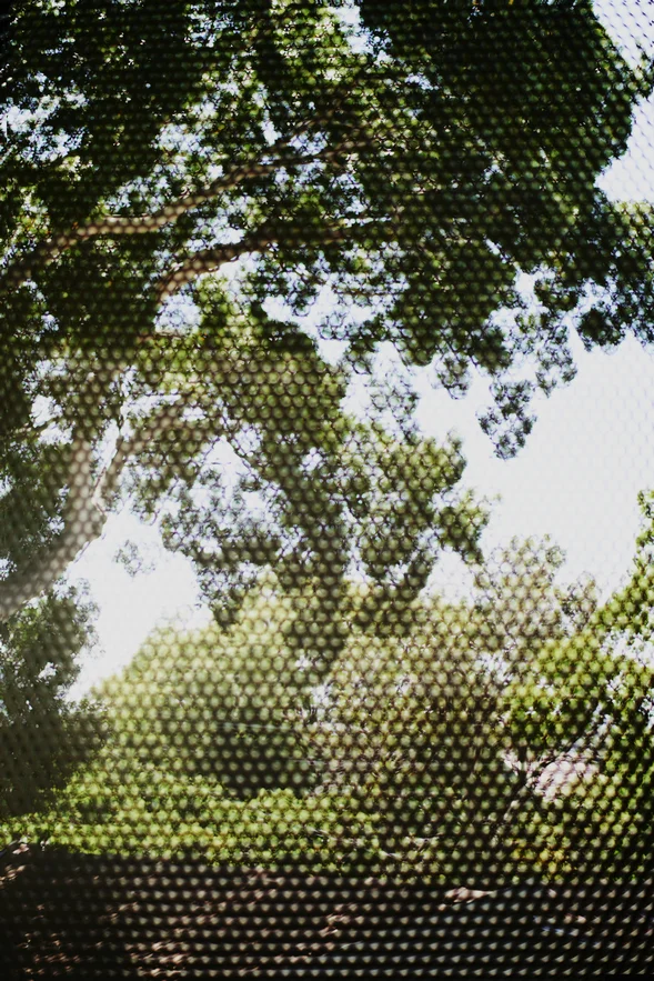 Architecture Projects | Platform House — studioplusthree