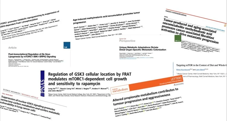Publications — Blenis Lab