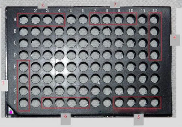 UV/VIS Fluorescence Validation Plate — FireflySci Cuvette Shop