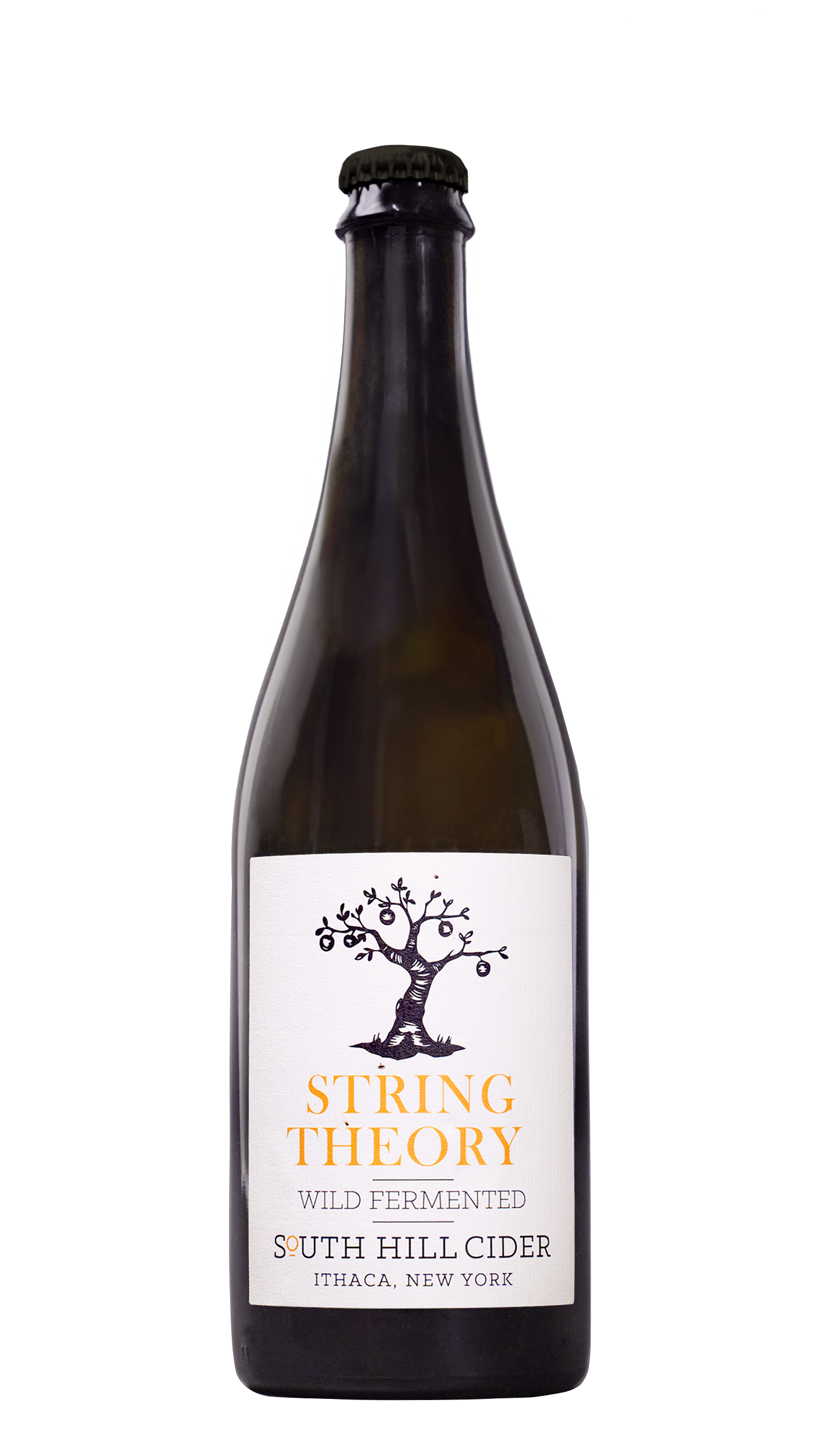 2021 String Theory — South Hill Cider | Heirloom Finger Lakes Cider in Ithaca, New York