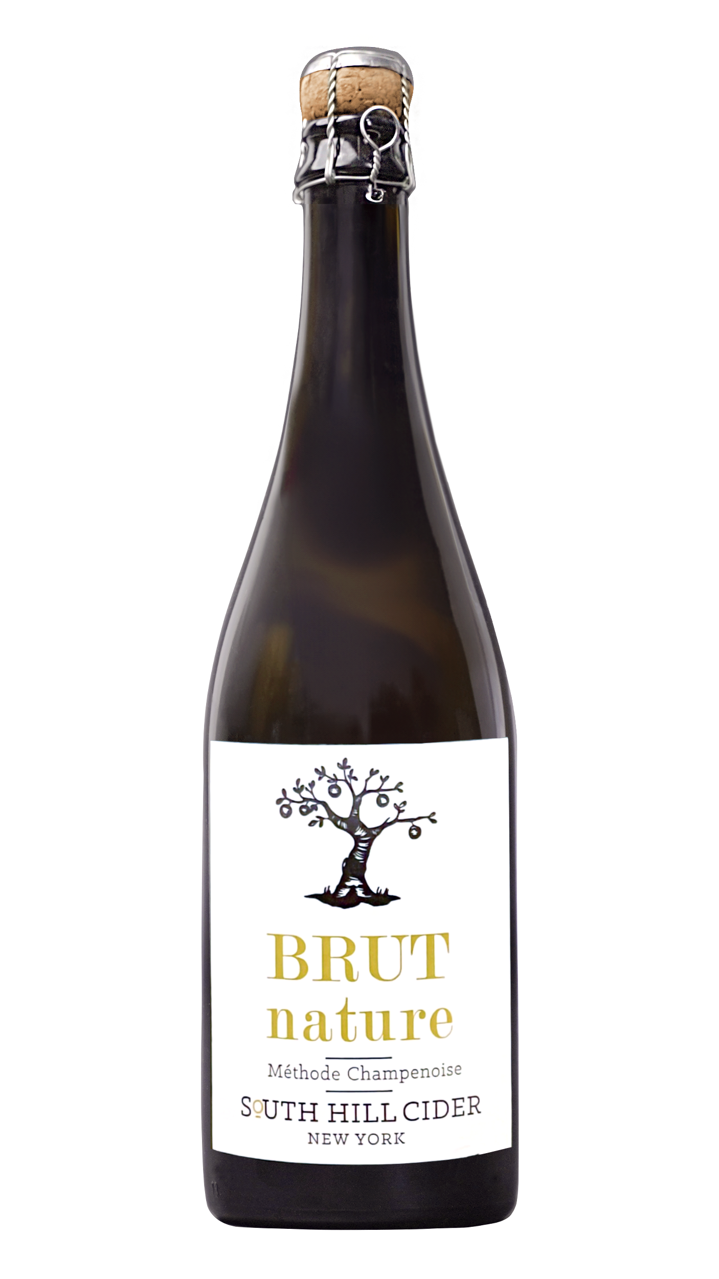 Buy Cider — South Hill Cider | Heirloom Finger Lakes Cider in Ithaca ...