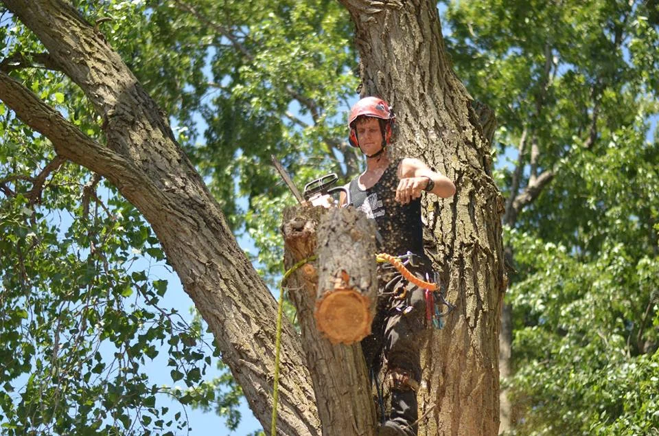 One Life Tree Service - Lincoln, Nebraska