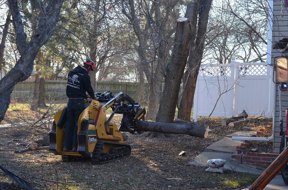 One Life Tree Service - Lincoln, Nebraska
