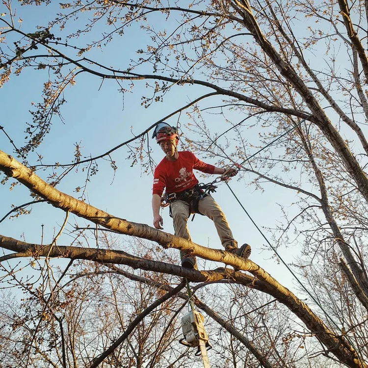 One Life Tree Service - Lincoln, Nebraska