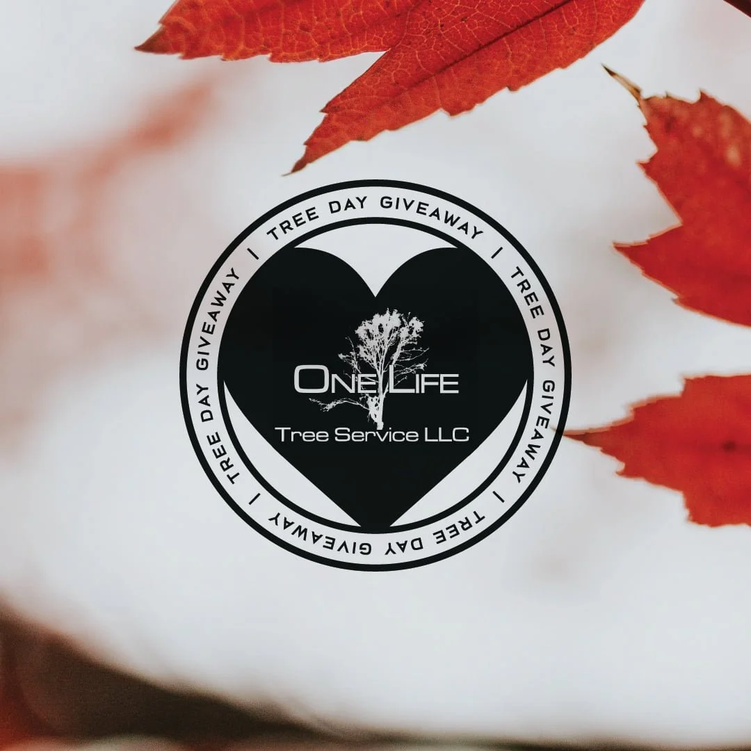 One Life Tree Service - Lincoln, Nebraska