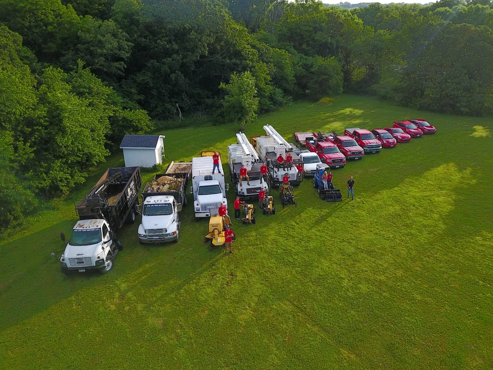One Life Tree Service - Lincoln, Nebraska