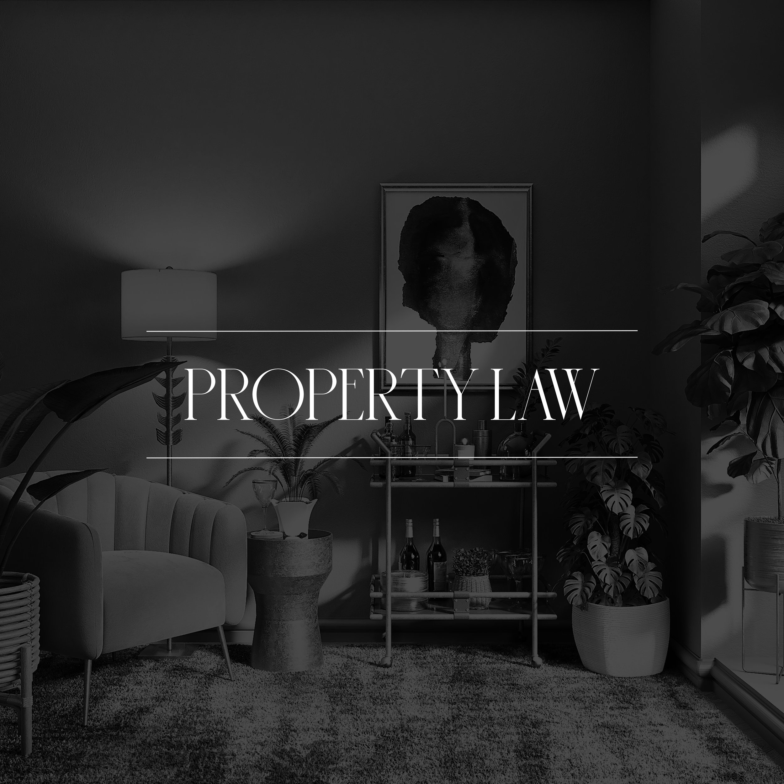 The Property Practice