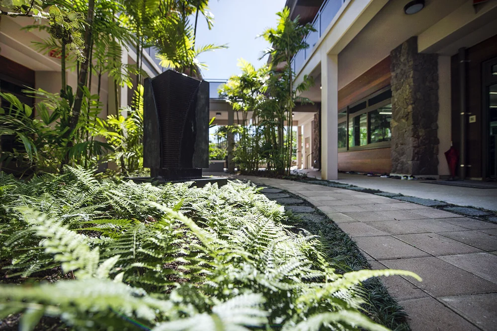 Punahou School Grades 2-5 Kosasa Neighborhood — Design Partners ...