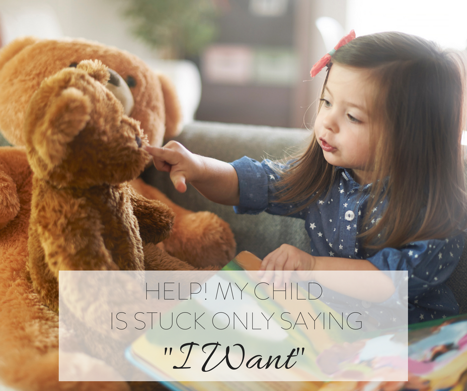 Moving Beyond “I Want” — Rachel Madel Speech Therapy Inc.