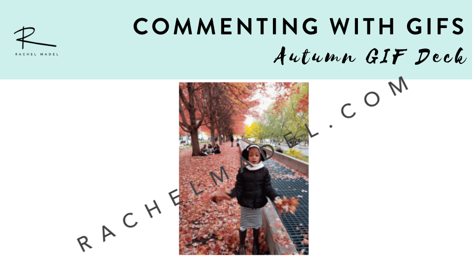 Autumn GIF Deck for Language Development | Perfect for Core Vocabulary ...