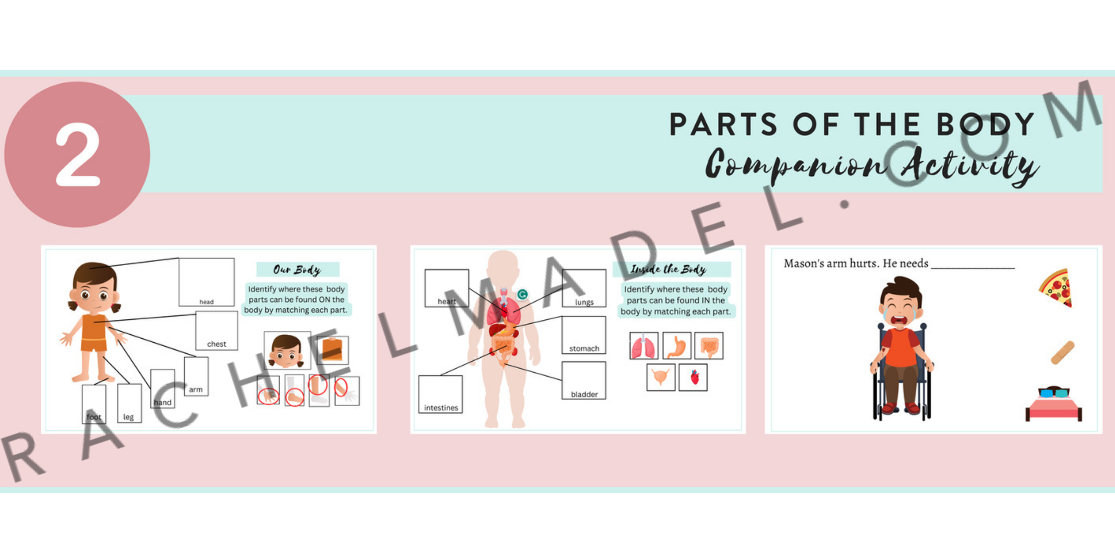 Parts of the Body Bundle | Teach Body Awareness & Sensory Skills ...