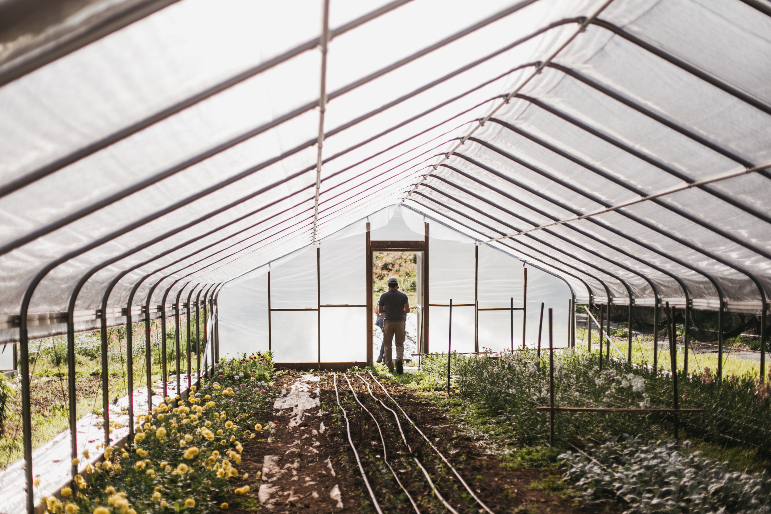 Butterbee Farm-what's better than summer