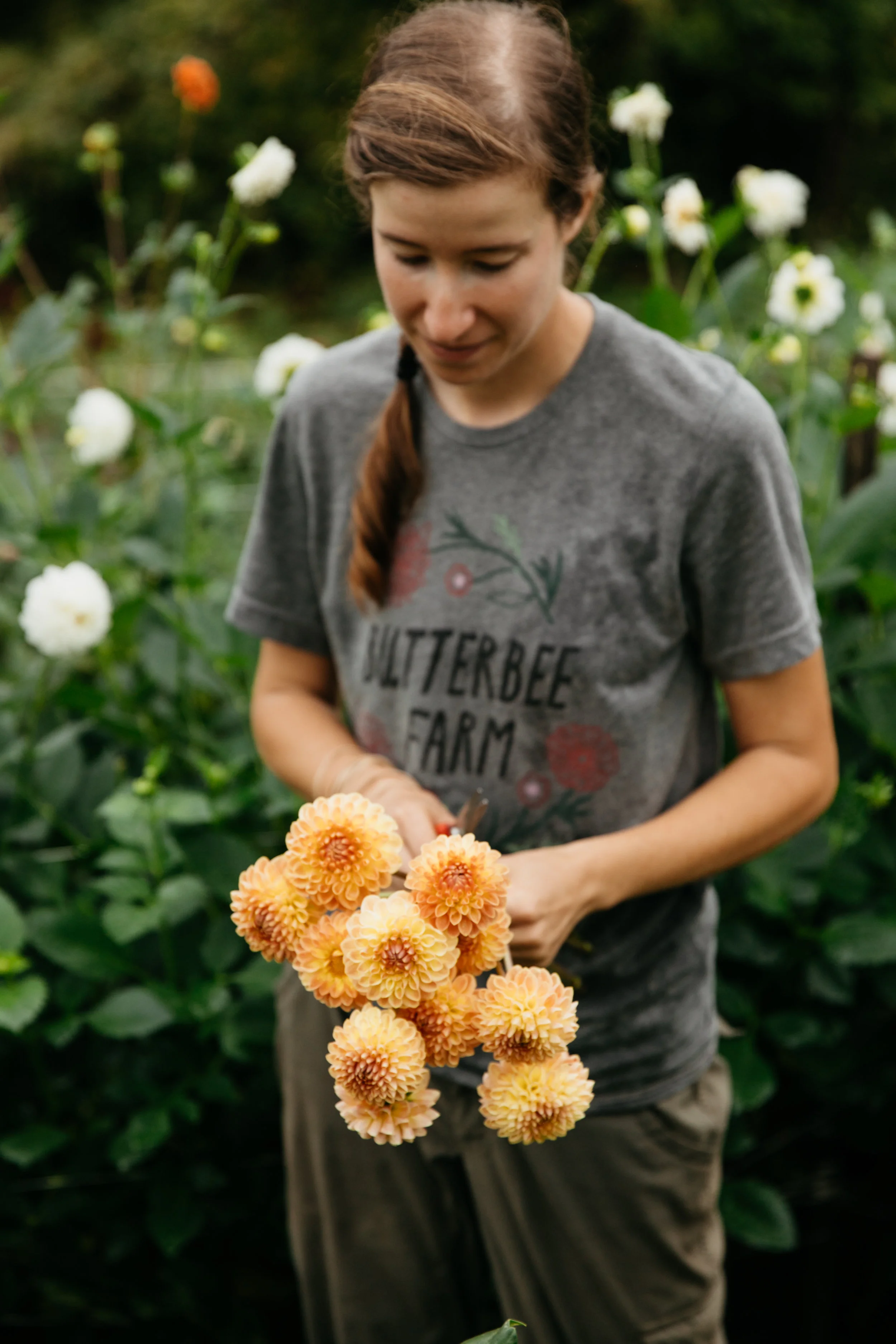 Butterbee Farm-frost is near